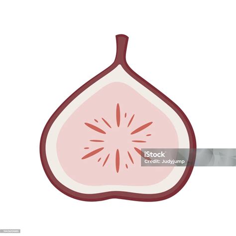 무화과 로고 흰색 배경에 고립된 무화과 그림 만화 벡터입니다 무화과에 대한 스톡 벡터 아트 및 기타 이미지 무화과 벡터