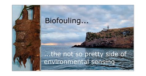 Lets Talk About Slime Or Why Biofouling Needs More Attention In