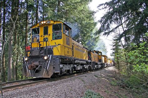 Weyerhaeuser Woods Railroad Railroad Discussion