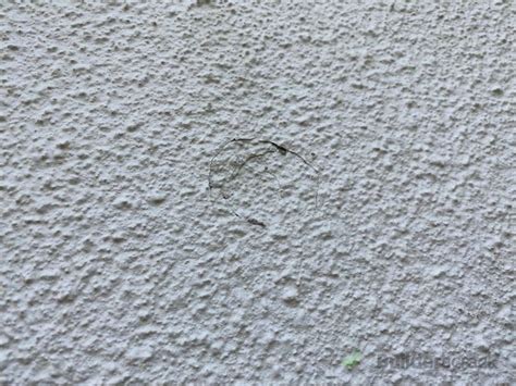 Repair Cladding Damage Builderscrack