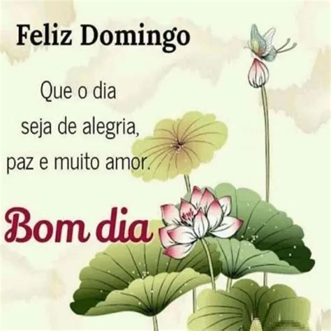 35 Mensagens lindas de Bom Dia e Feliz Domingo alegre e Abençoado
