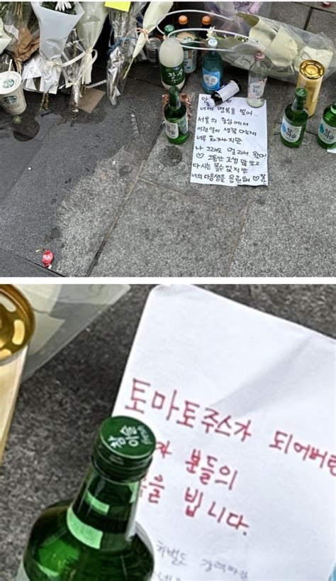 시청역 참사현장에 충격적인 조롱글 포텐 터짐 최신순 에펨코리아