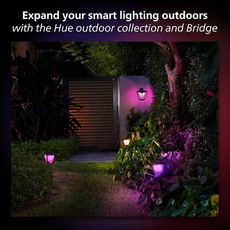 Philips Hue Lily Outdoor 8 Watt Black Low Voltage Plug In Smart Led