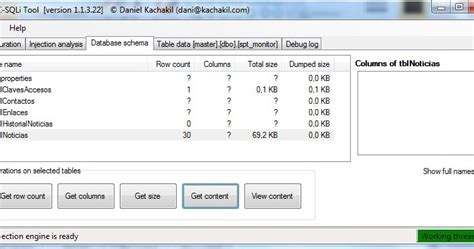 Un Informático En El Lado Del Mal Serialized Sql Injection Errores