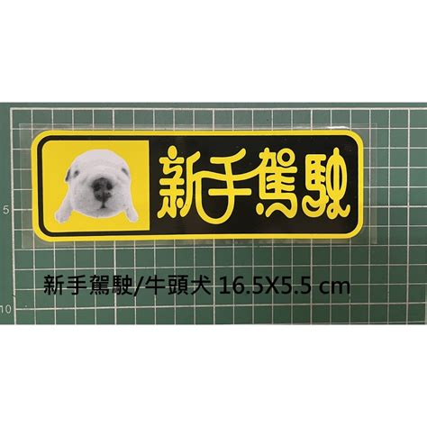 【新手駕駛】貼紙 防水 不脫落 機車 汽車 重機 車貼 車殼裝飾 行李箱貼 蝦皮購物