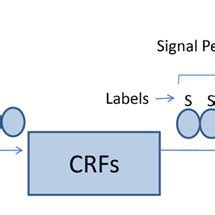 CRFs For Cleavage Site Prediction Conditional Random Fields CRFs For