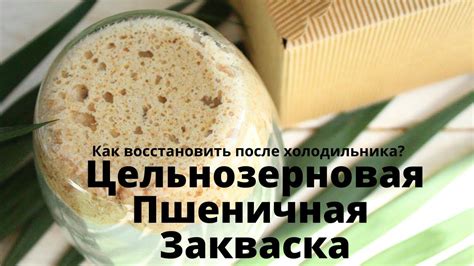 Цельнозерновая пшеничная закваска для хлеба КАК ВОССТАНОВИТЬ ЗАКВАСКУ