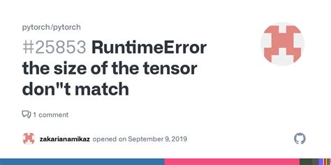 runtimeerror the size of the tensor don t match · issue 25853