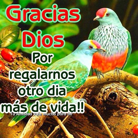 Las Mejores Imágenes de Gracias Dios para Whatsapp Imágenes Cool