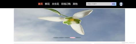 Web期末作业网页设计——javascriptjavascript网页设计期末大作业 Csdn博客