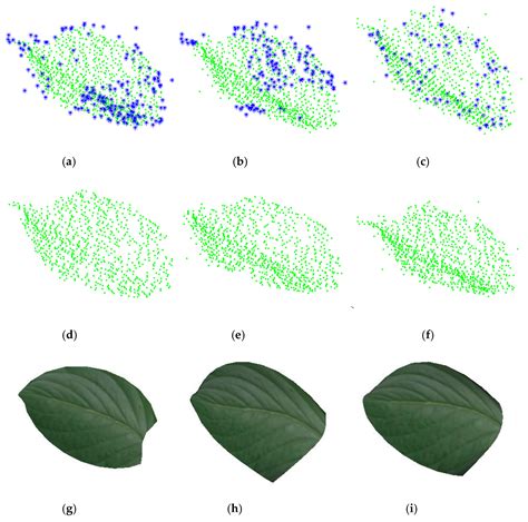 A 3d Point Cloud Filtering Method For Leaves Based On Manifold Distance