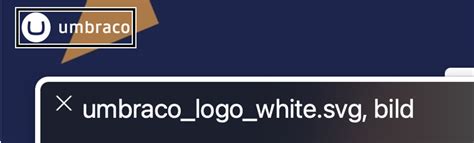 Accessibility Issues On The Login Screen · Issue 14517 · Umbracoumbraco Cms · Github