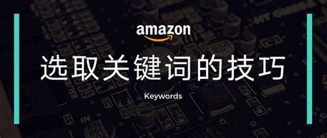 如何查找亚马逊关键词的核心词，有什么埋词技巧？ Jungle Scout中国官网