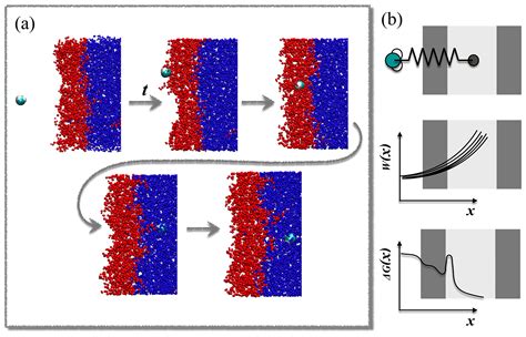 Acp Molecular Scale Description Of Interfacial Mass Transfer In Phase