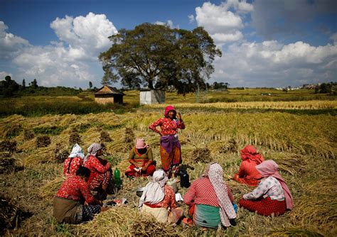 Pueden la agricultura y la ganadería conducir al empoderamiento