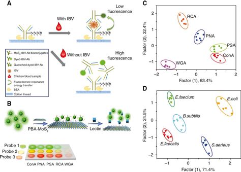 Detection Principle And Experimental Results Of Mos2 Based Fret