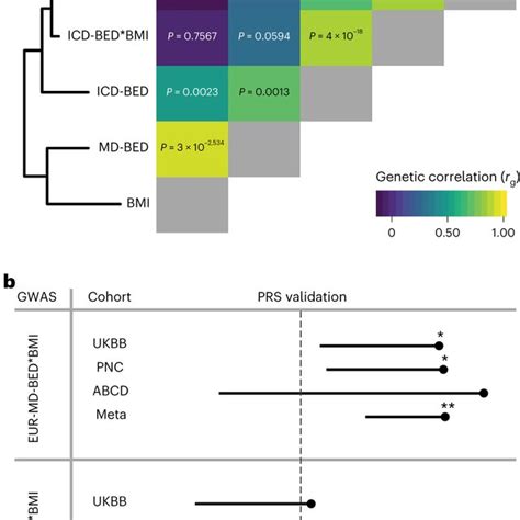 Validation Of The Md Bed Phenotype A Hierarchical Clustering Of Five Download Scientific