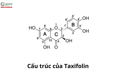 Taxifolin Có Tác Dụng Chống Oxy Hóa Chống Viêm Bảo Vệ Gan Và Tim Mạch