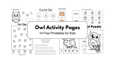 Owl Activity Pages Teachingbundles