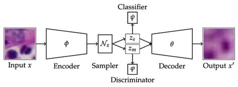 applied sciences free full text disentangled autoencoder for cross
