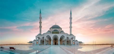 عدد أبناء سيدنا إبراهيم سطور