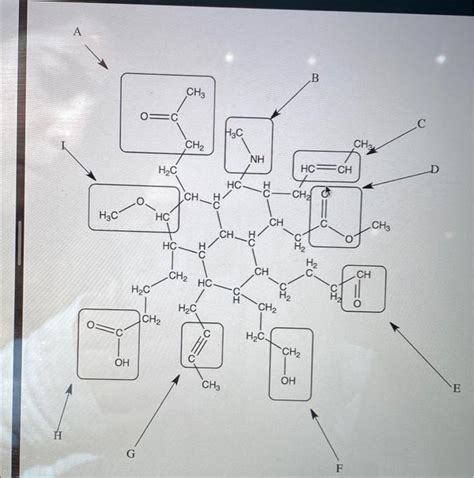 Solved A B CH3 O C с H₃C CH2 CHE NH H2C HCCH HC ICH H CHA Chegg com