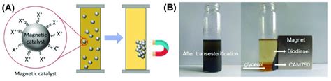 A Theoretical Illustration Of The Recovery Of The Catalyst After The Download Scientific
