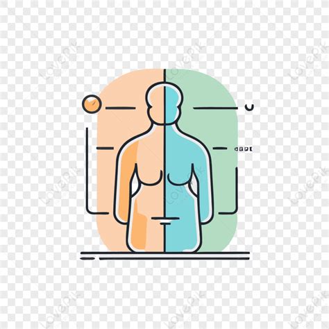 신체의 선 벡터 일러스트 레이 션우수이스케치 Png 일러스트 무료 다운로드 Lovepik