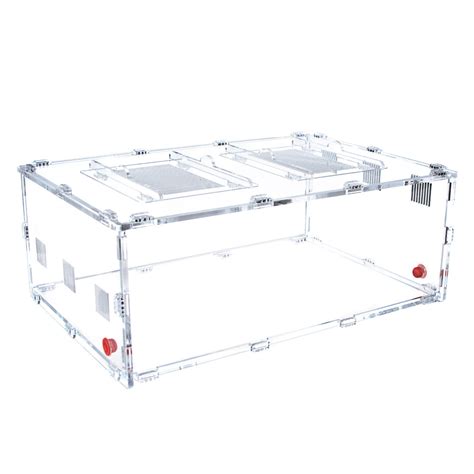 Большая арена для муравьев - купить по выгодной цене | 4ants