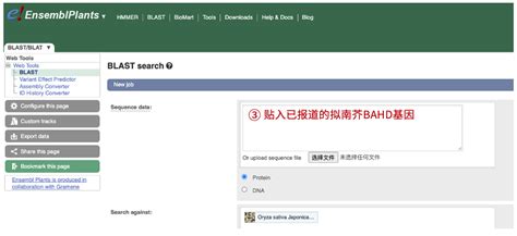 生信小工具 手把手教你从序列查找开始，绘制漂亮的进化树 微信文章 仪器谱