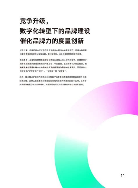 品牌力增长度量白皮书（丝塔芙东风日产立邦rio锐澳vivo凌博士）搜狐汽车搜狐网