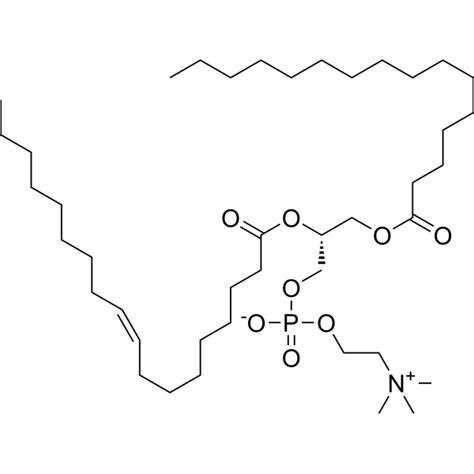 1 Palmitoyl 2 Oleoyl Sn Glycero 3 Pc Standard Saturated Monobasic Alcohol Medchemexpress