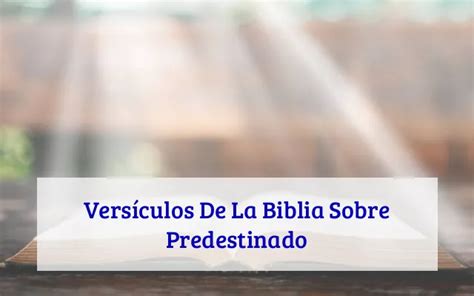 70 Versículos De La Biblia Sobre Predestinado