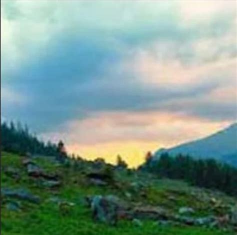 Kullu Manali Honeymoon Tour Honeymoon Trip Couple Honeymoon Packages