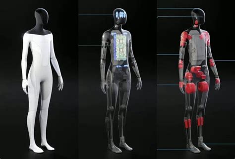 Tesla Bot Announced Everything About The Tesla Bot R Teslabots