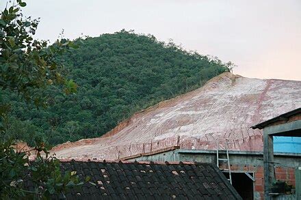 Deforestación En Brasil Wikipedia La Enciclopedia Libre
