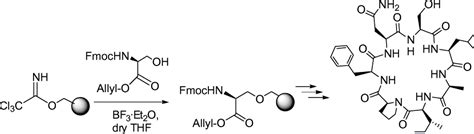 Cyclic Peptide Synthesis Service Mtoz Biolabs