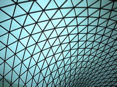 Royalty Free Photo White Bird With View Of Sydney Opera House PickPik