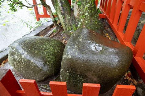 Gastronomy Linux Apache Mariadb Python ブログ Gastronomy Linux Apache Mariadb Python ブログ