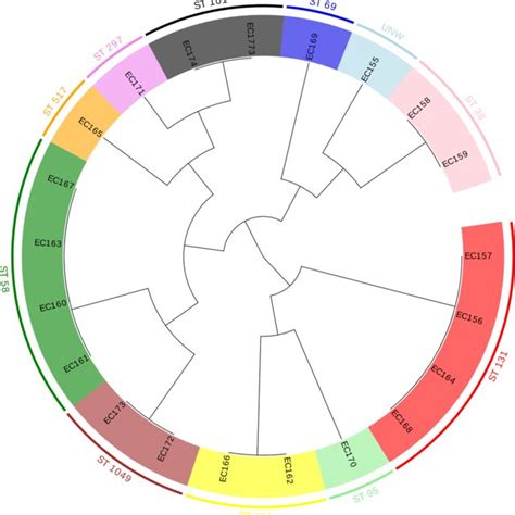 Scheme Of Variability Regions Calculation For A Set Of Aligned