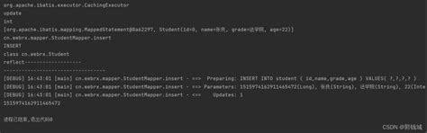 Mybatis使用雪花算法添加idmybatis雪花id Csdn博客