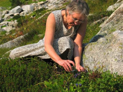 Tribute To Celia Hunter By Connie Barlow