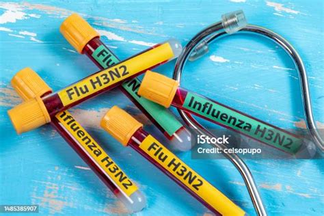독감 유형과 관련하여 Flu H3n2로 작성된 혈액 수집을위한 모든 진공 0명에 대한 스톡 사진 및 기타 이미지 0명 A형