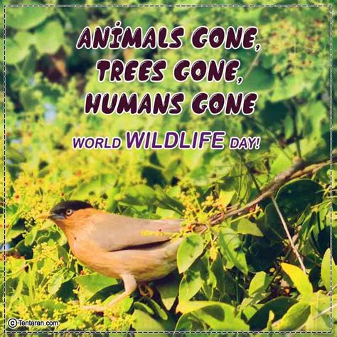 World Wildlife Day Quotes In English Images Whatsapp Status