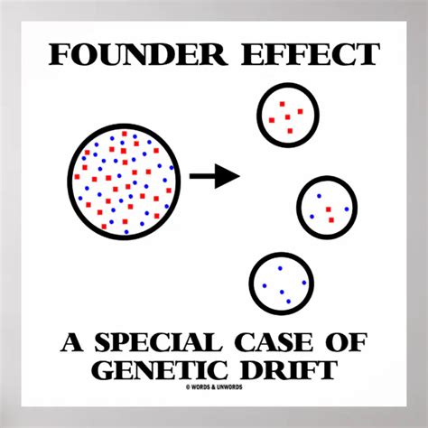 Founder Effect A Special Case Of Genetic Drift Poster Zazzle