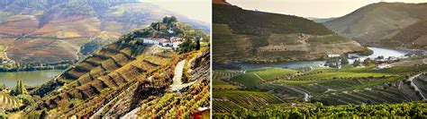 Duas Quintas Do Douro Entre Os 50 Melhores Enoturismos Grandes Escolhas