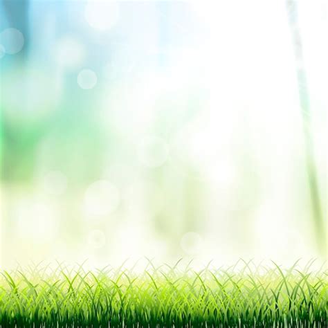 Premium Vector Closeup Look At Natural Grass Background