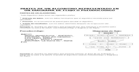 Partes De Un Algoritmo Representado En Un Diagrama De Flujo O