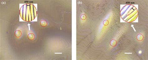 Recording Vortex Splitting From High Order Fractional Topological Download Scientific Diagram