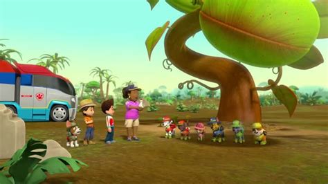 Paw Patrol Season 3 Episode 24 Pups Save A Giant Plant Pups Get